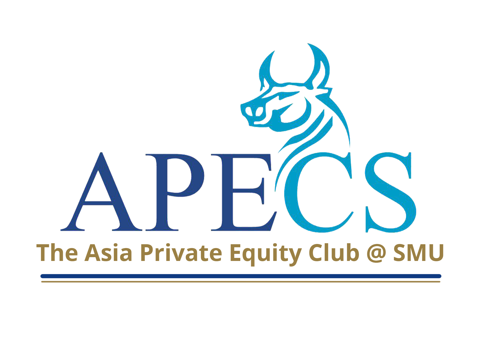 The Asia Private Equity Club @ SMU (APECS) | Institute of Innovation & Entrepreneurship